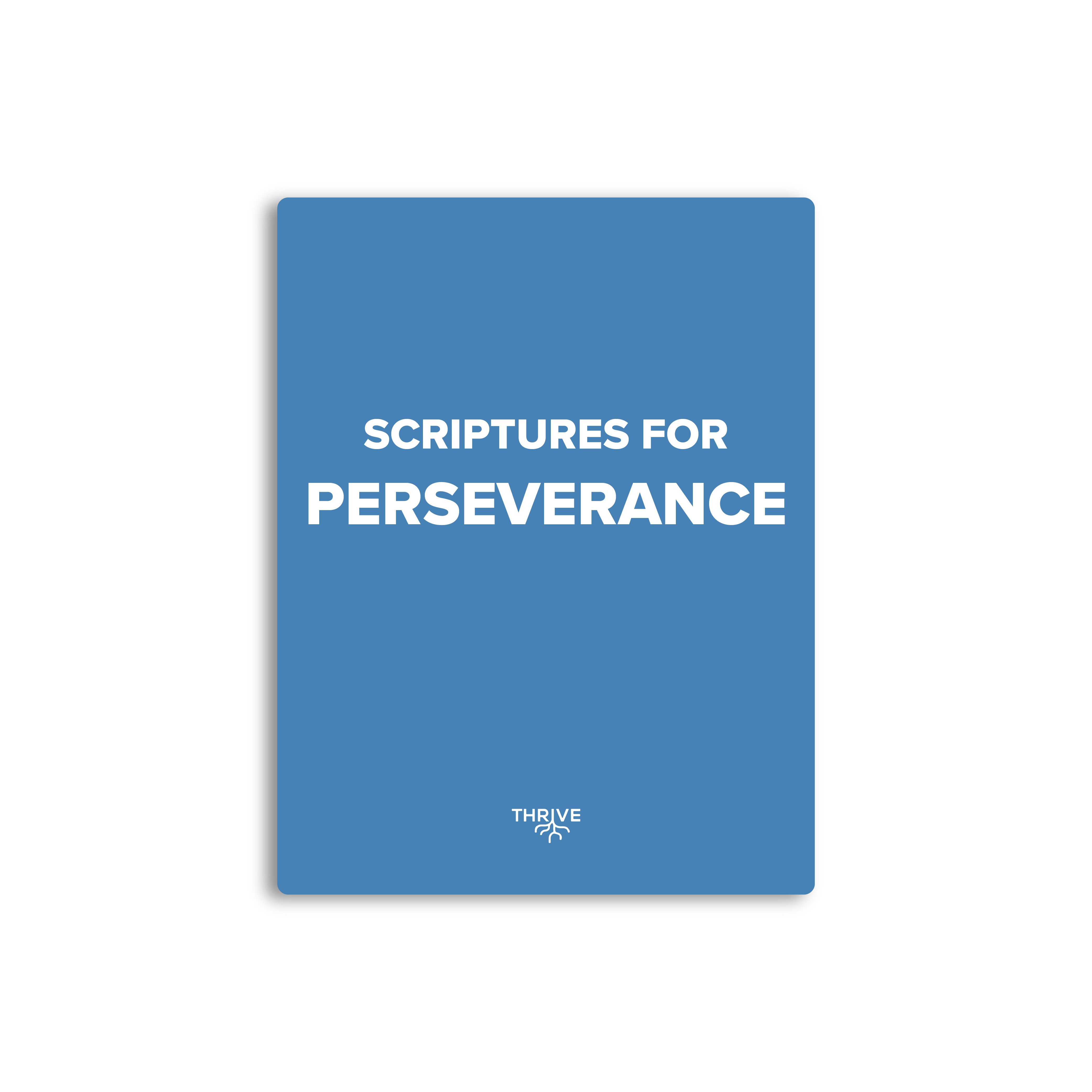 Perseverance Card – Thrive Teaching